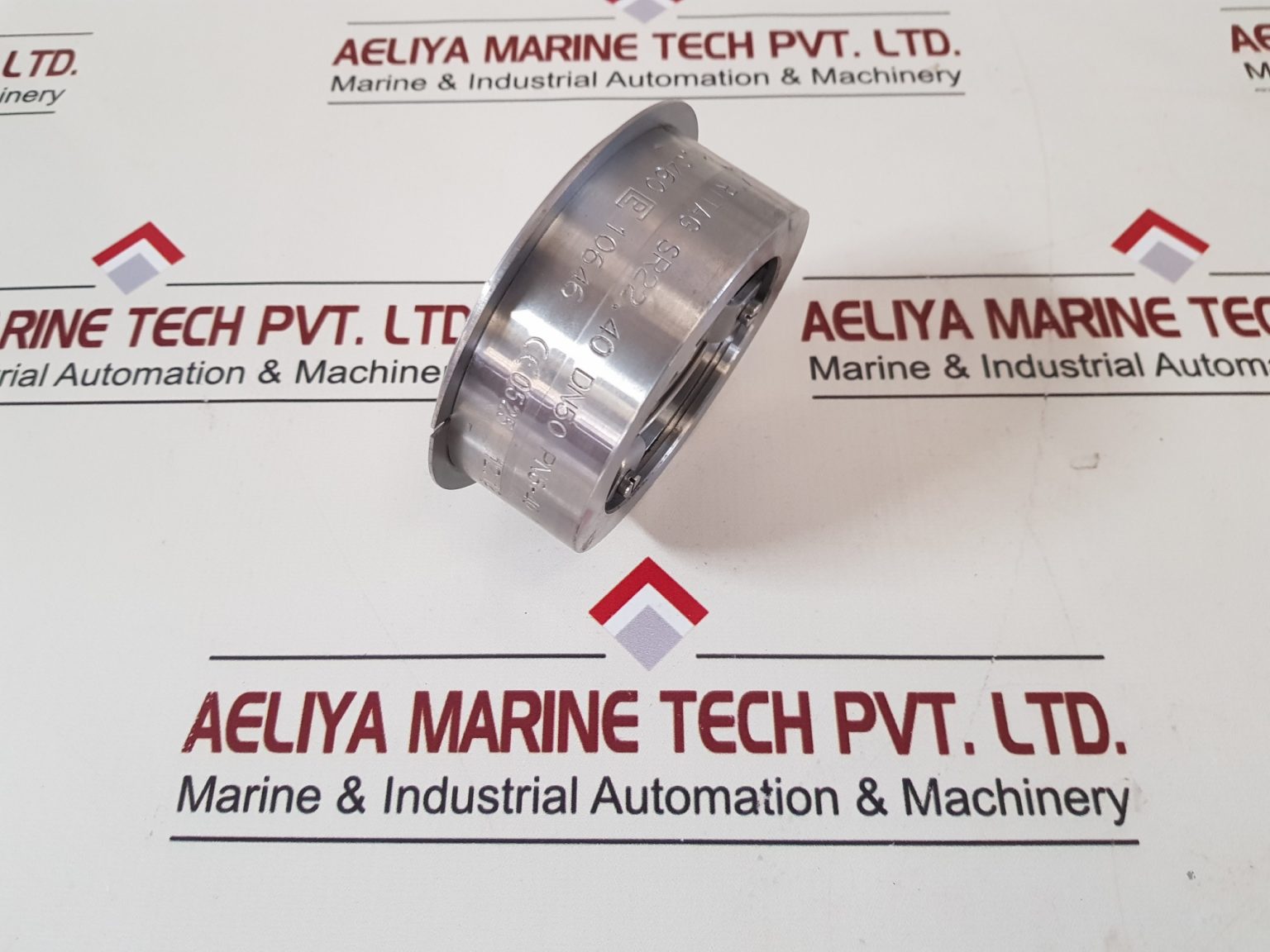 RITAG DN50 PN6-40 CHECK VALVE DN50 PN10 - Aeliya Marine