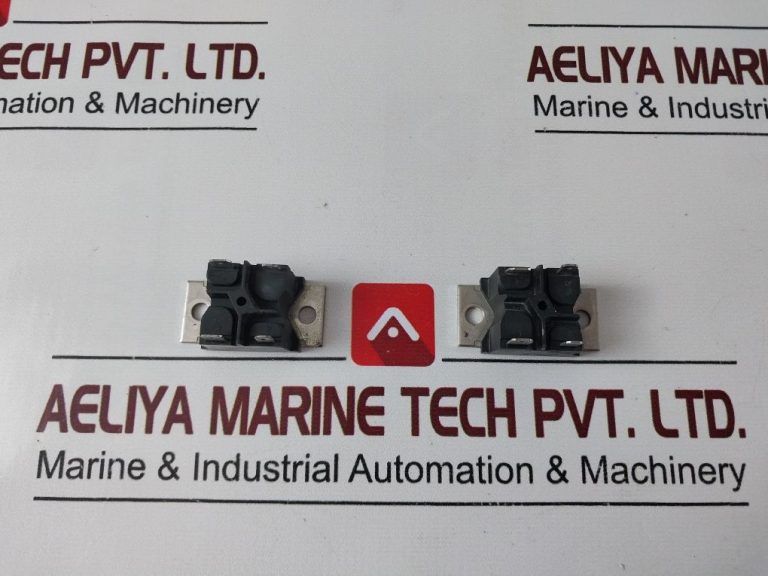 Ebg 3x8kgg Resistor - Aeliya Marine