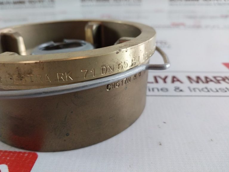 Gestra Rk 71 Non-return Valve - Aeliya Marine