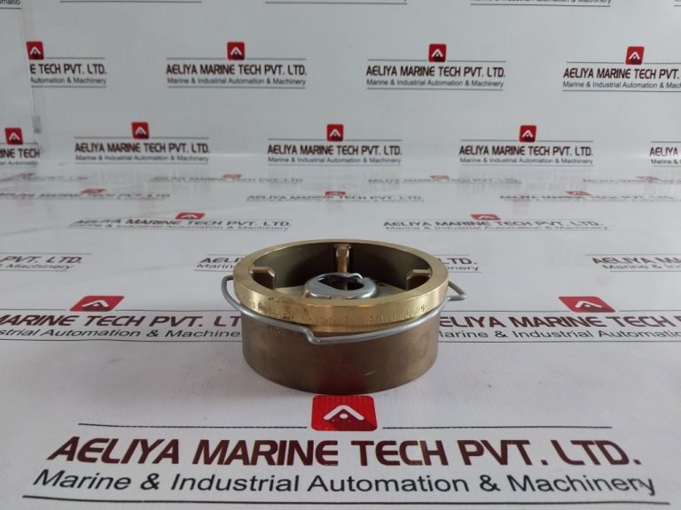 Gestra Rk 71 Non-return Valve - Aeliya Marine