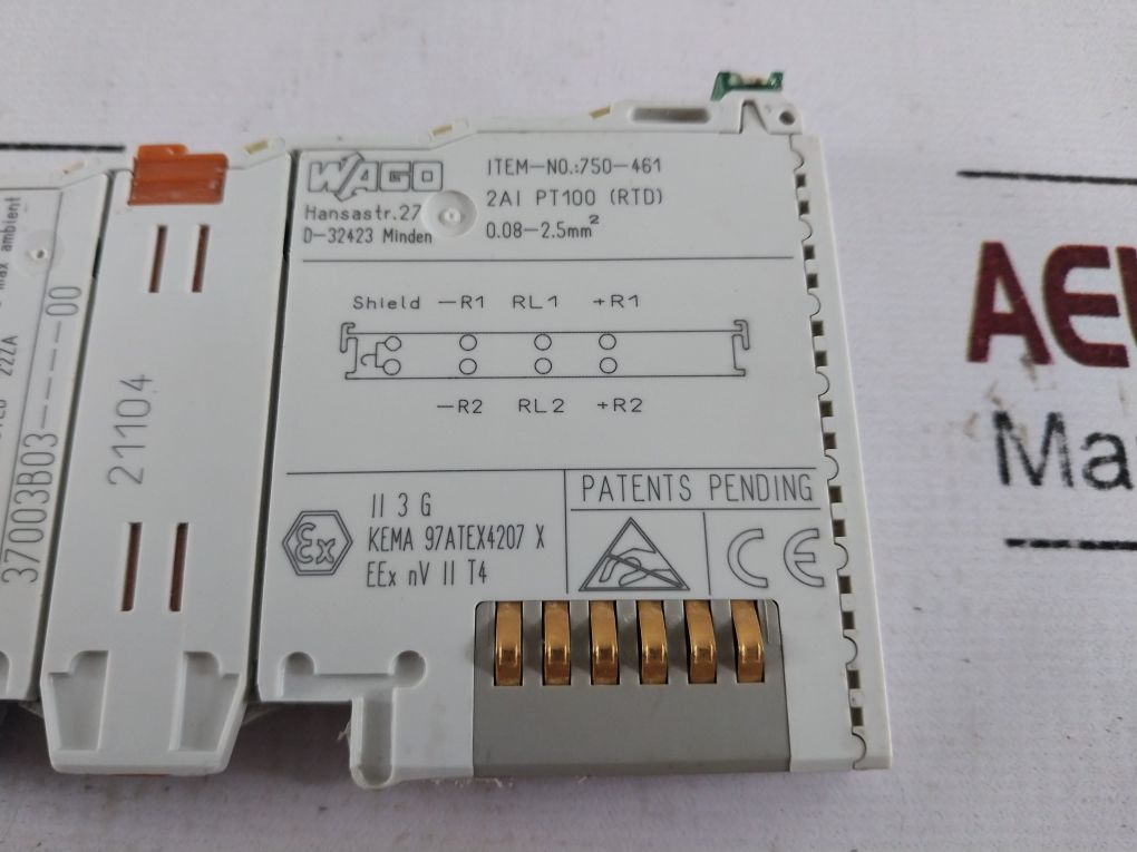 Wago 750-461 2 Channel Analog Input Module - Aeliya Marine