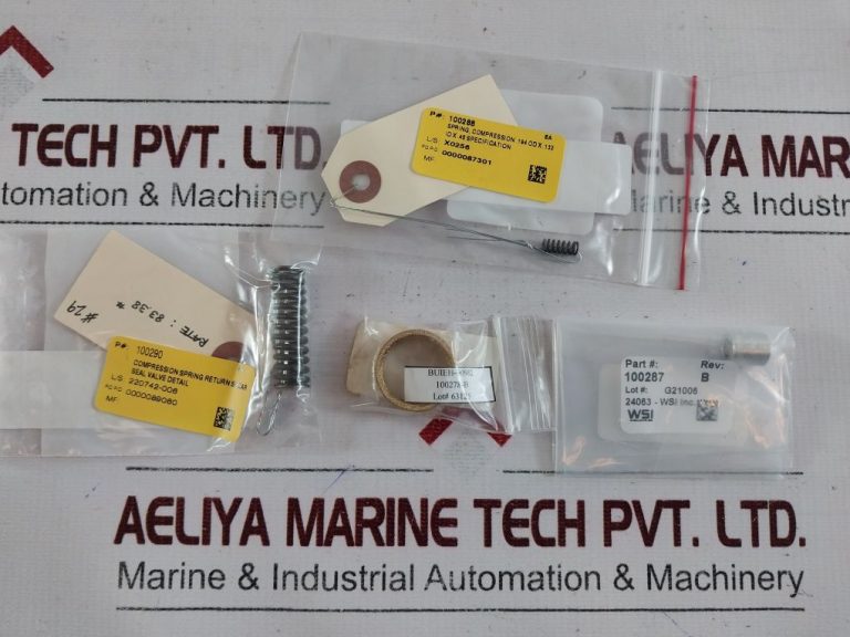 Oceaneering 100276-rk Valve Repair Kit - Aeliya Marine