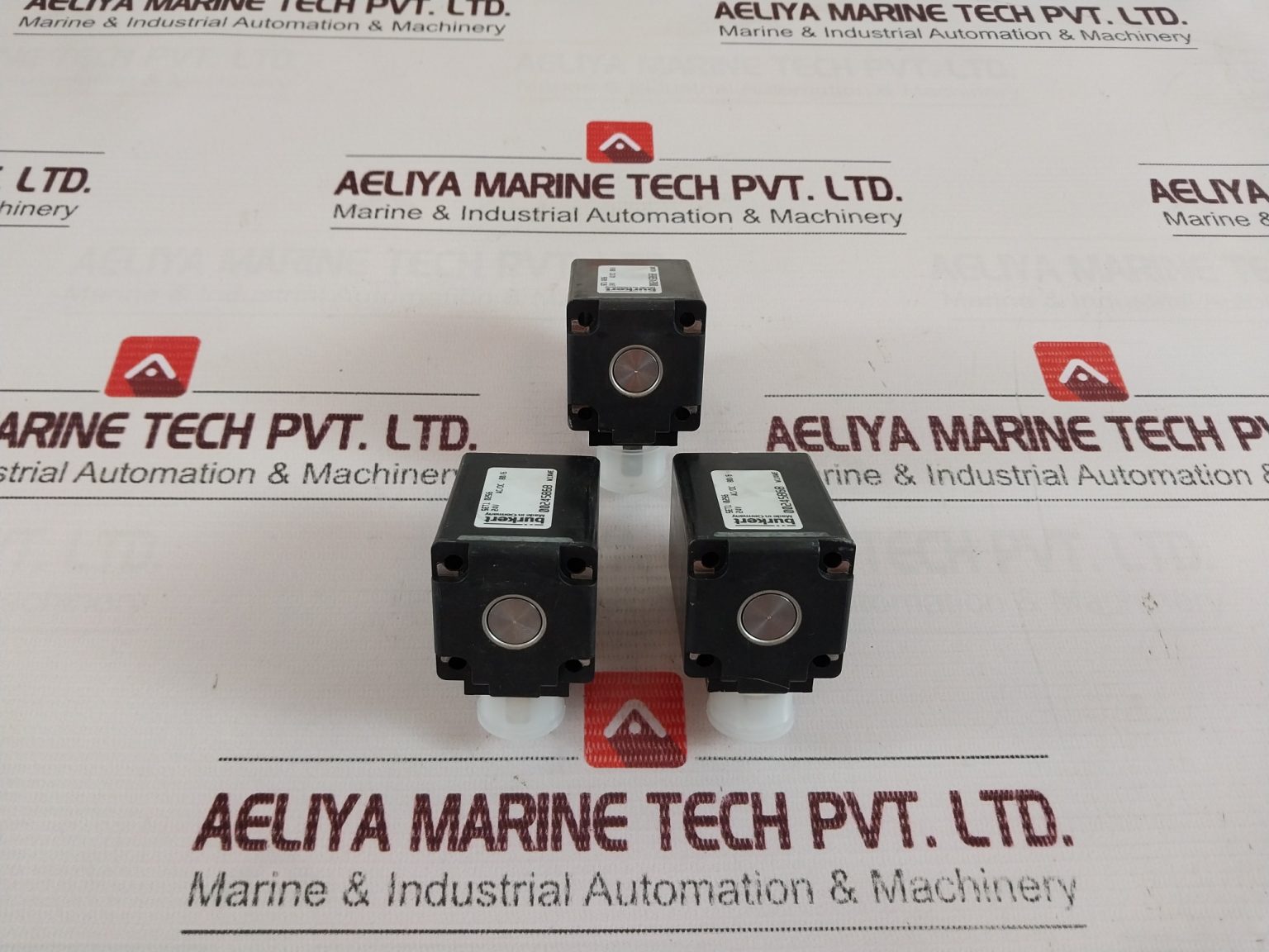 Burkert Set1 0256 Solenoid Valve Coil - Aeliya Marine