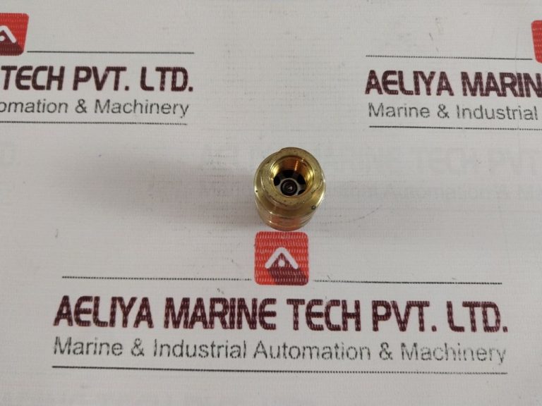 Watts N9 Back-flow Preventer - Aeliya Marine