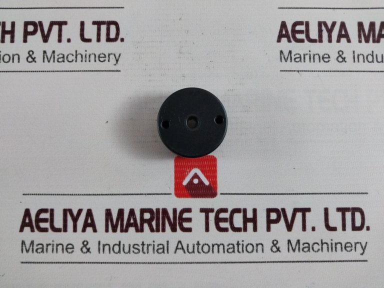 Bourdon Haenni Flex Top 2201 0002 Temperature Transmitter - Aeliya Marine