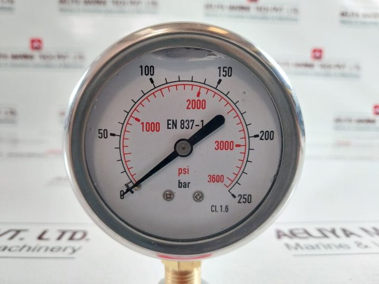 En 837-1 Pressure Gauge 0-250 Bar - Aeliya Marine