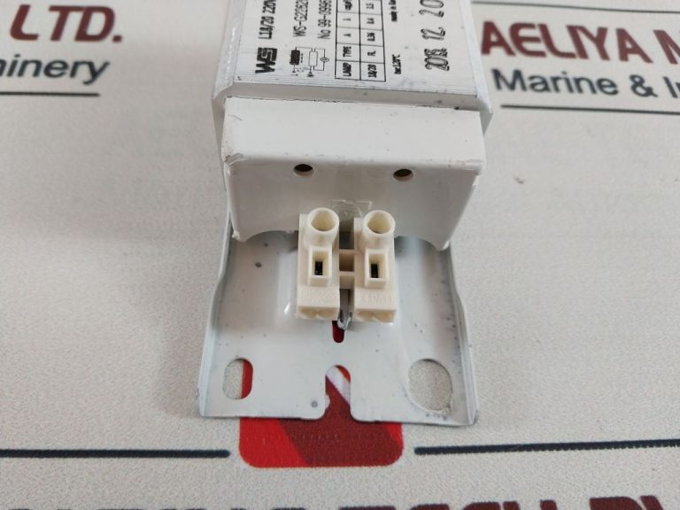 Ws L18/20 220v/60hz Ballast - Aeliya Marine