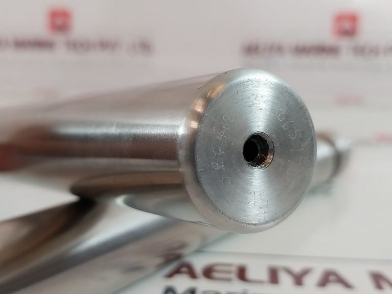 Union Pump 353b0657705r51200 Plunger Pump - Aeliya Marine