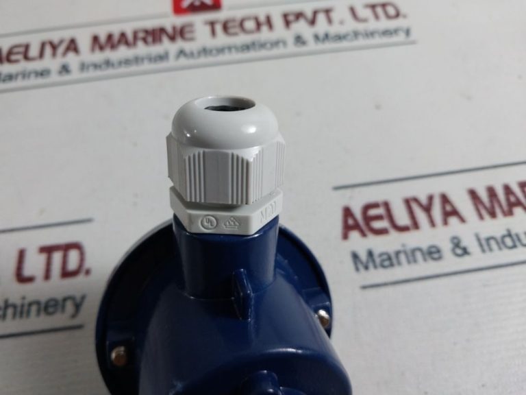 Jumo 2x Pt100 Temperature Sensor - Aeliya Marine