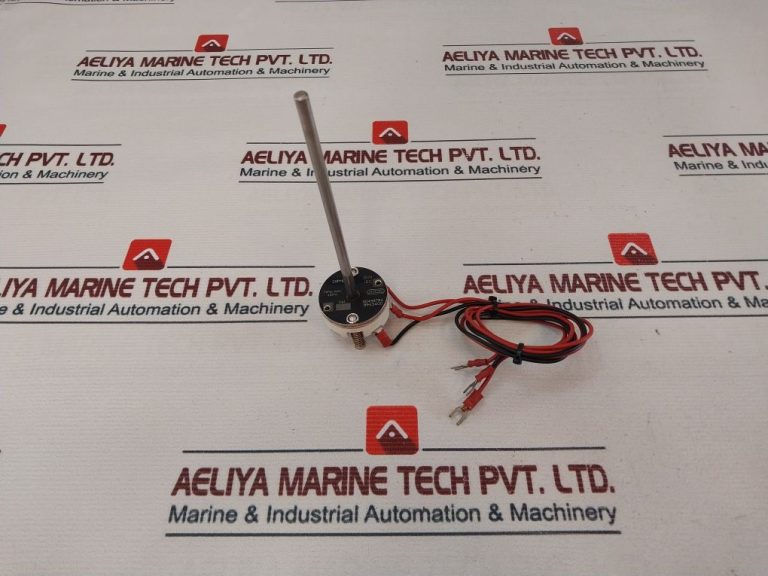 Jumo 2xpt100 Temperature Sensor - Aeliya Marine