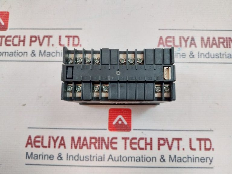 Emko Esm-4900 Process Indicator - Aeliya Marine