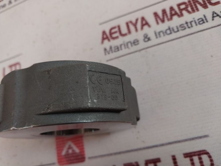 Gestra Rk 86 Check Valve - Aeliya Marine