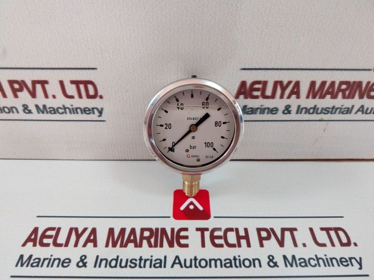 Gasli En 837-1 Pressure Gauge 0-100 Bar - Aeliya Marine