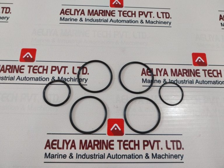 Gilmore Valve 1721-0999 Valve Repair Kit - Aeliya Marine