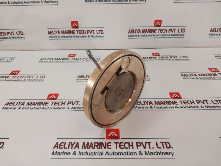 Gop 100 Swing Check Valve - Aeliya Marine