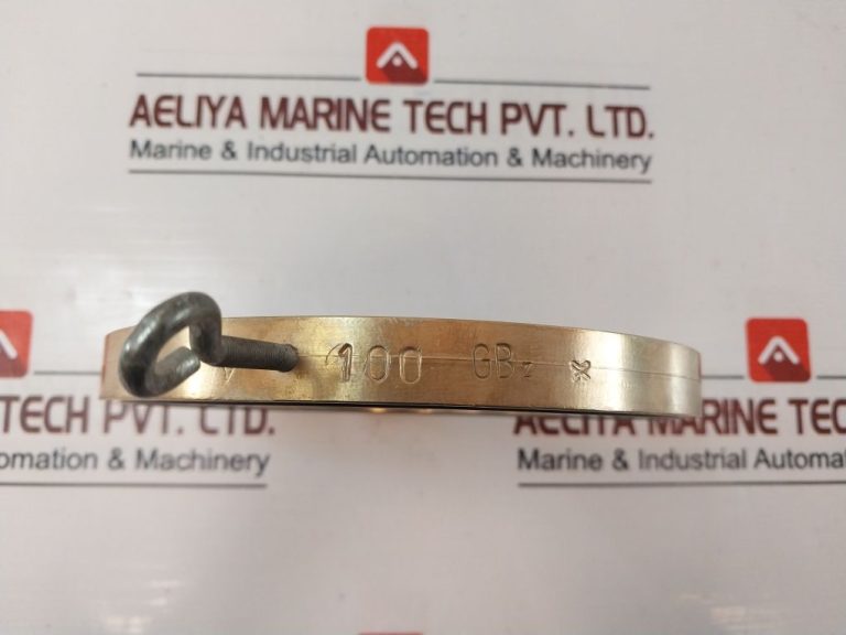 Gop 100 Swing Check Valve - Aeliya Marine