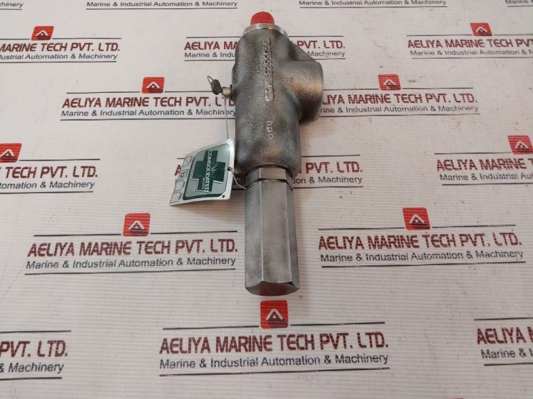 Consolidated 1990c-1 Relief Valve - Aeliya Marine