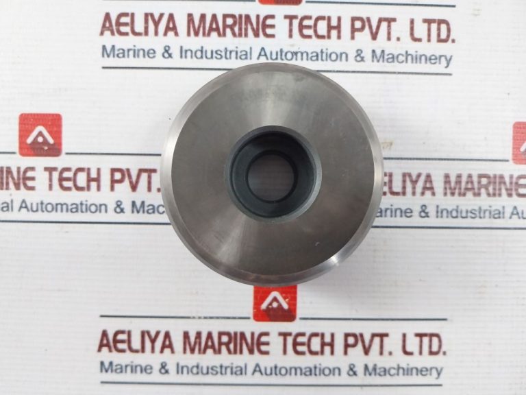 Expro Americas 2091001107 Plug Valve Relief - Aeliya Marine