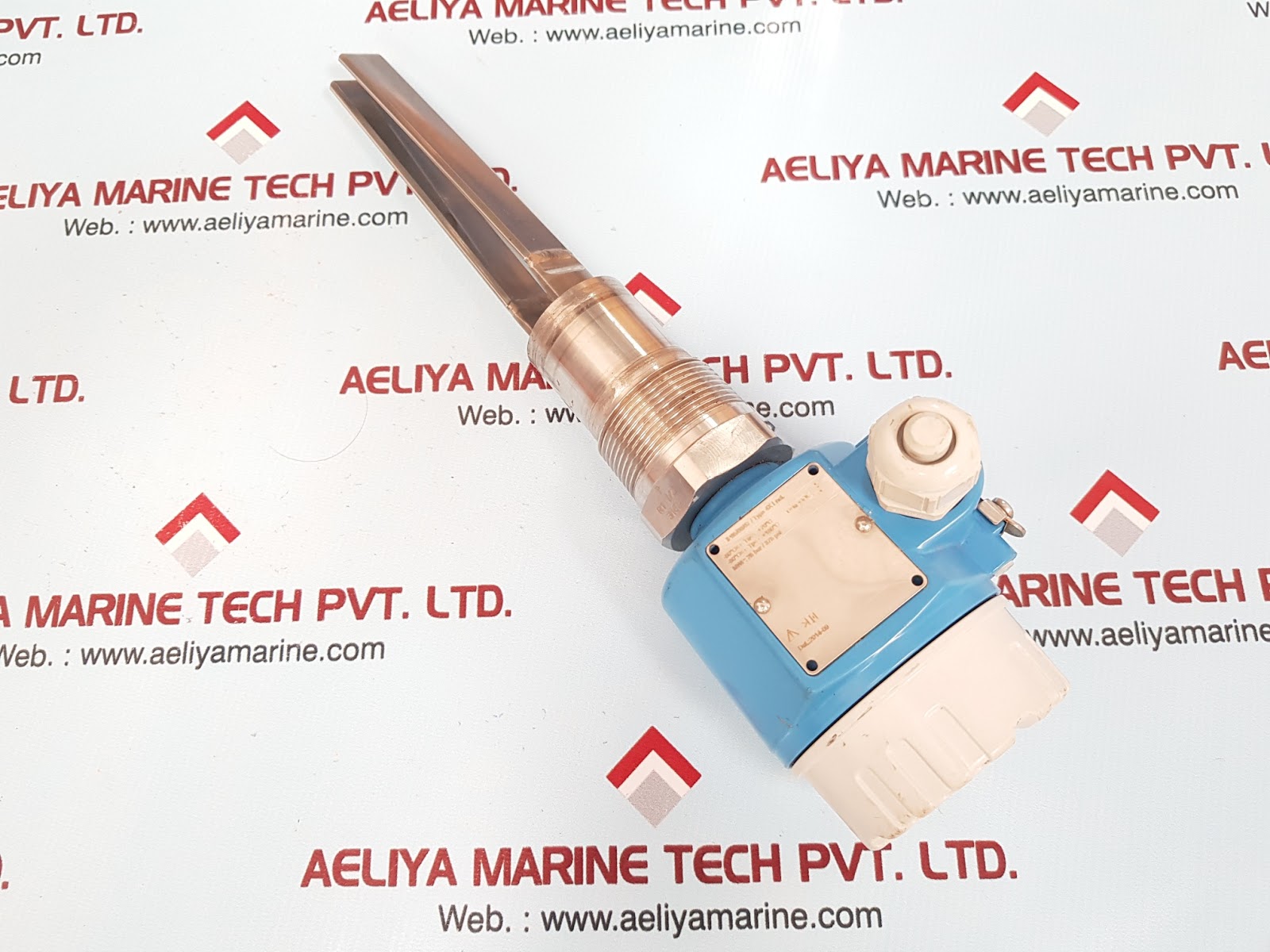 Endress+hauser ftm50-agg2a4a32aa soilphant level switch - Aeliya Marine