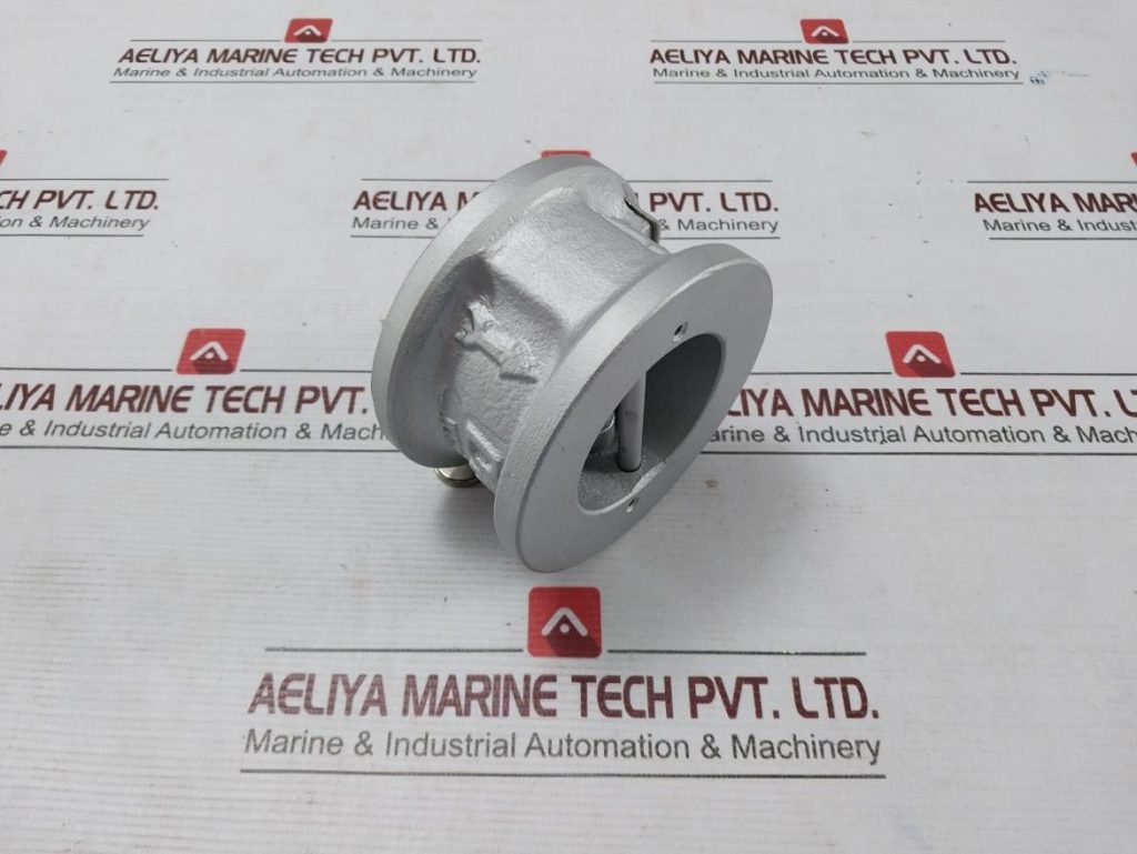 Dk Valve Wcb/B6 2/Nbr Cryogenic Dual Plate Check Valve - Aeliya Marine