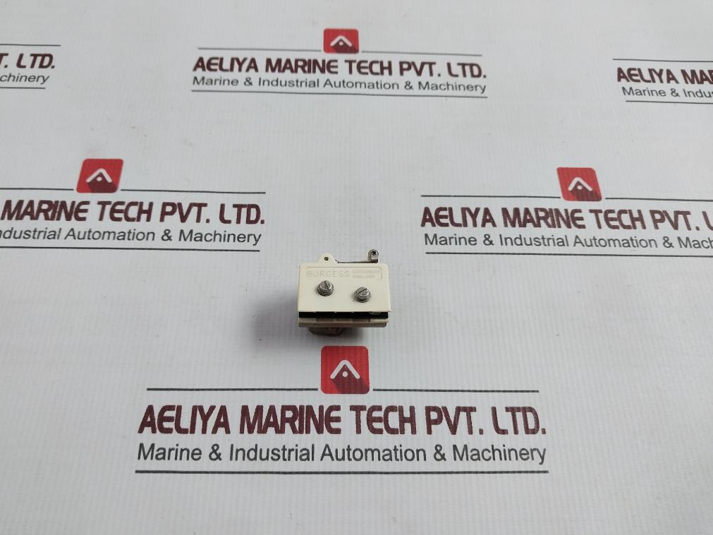 Burgess Roller Lever Limit Switch - Aeliya Marine